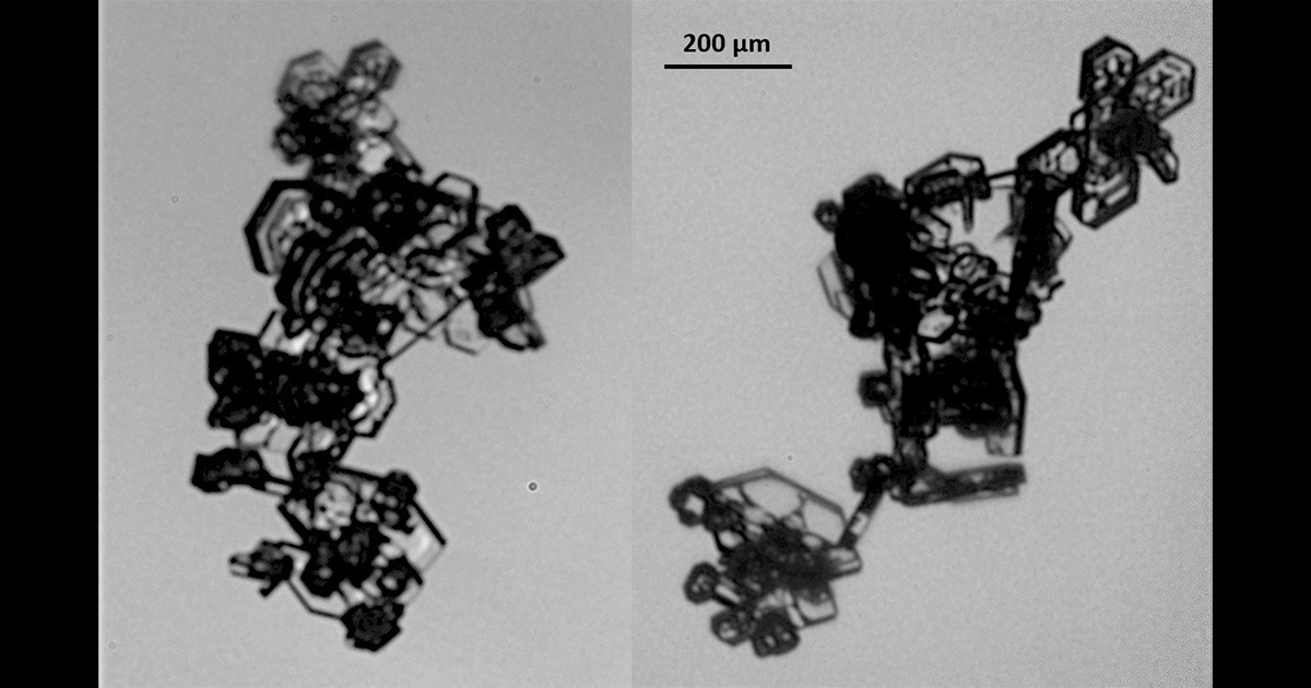 Frost Shock | Aerogram Magazine | Purdue University School of ...
