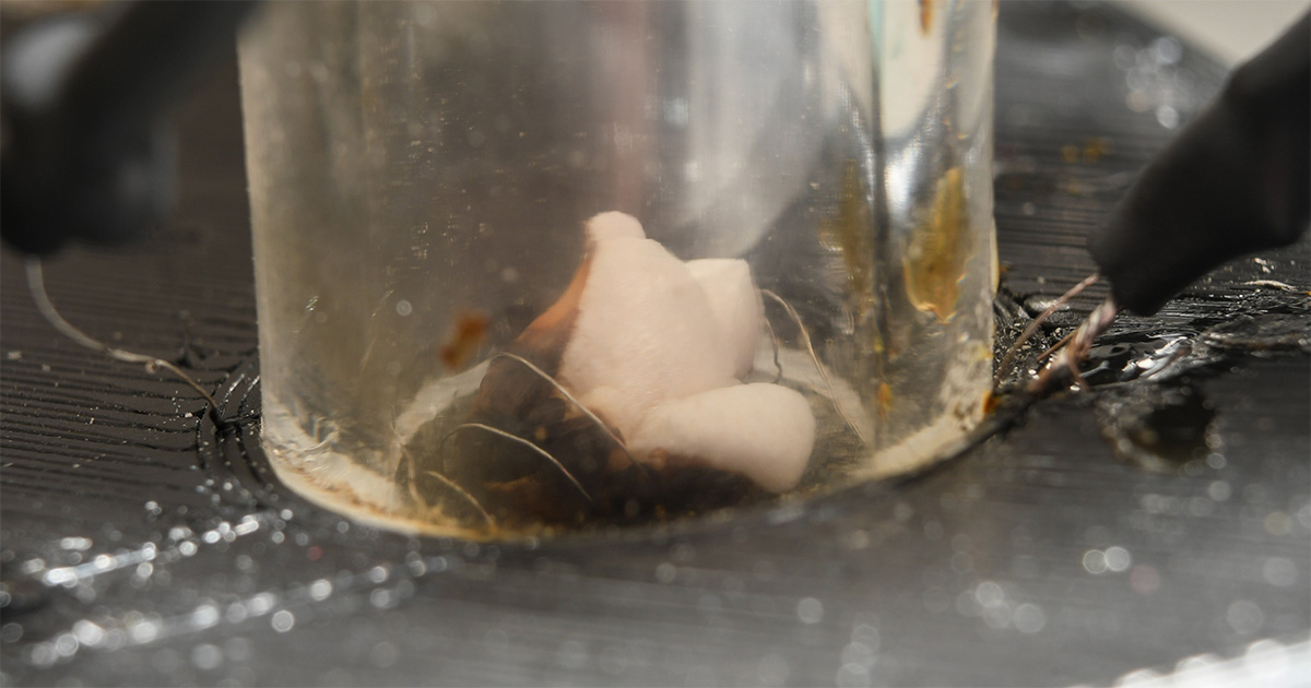 Purdue's Launch Box produces popcorn in lunar gravity aboard Blue ...