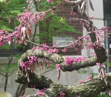 ABE Sympathy - Agricultural & Biological Engineering - Purdue University