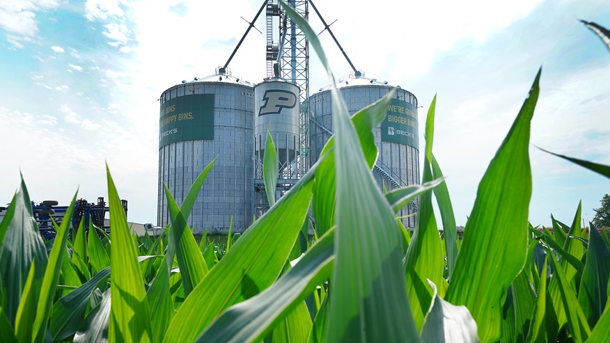 Ambrose: No increase in dust explosion incidents last year, decrease in ...