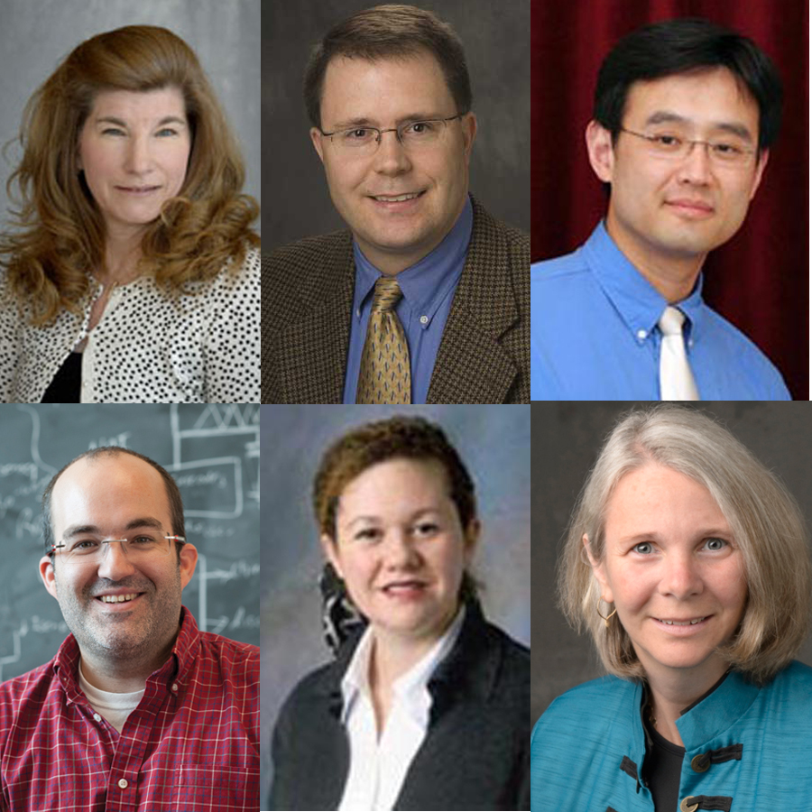 Six Biomedical Engineering Faculty Members Promoted to Full Professor ...