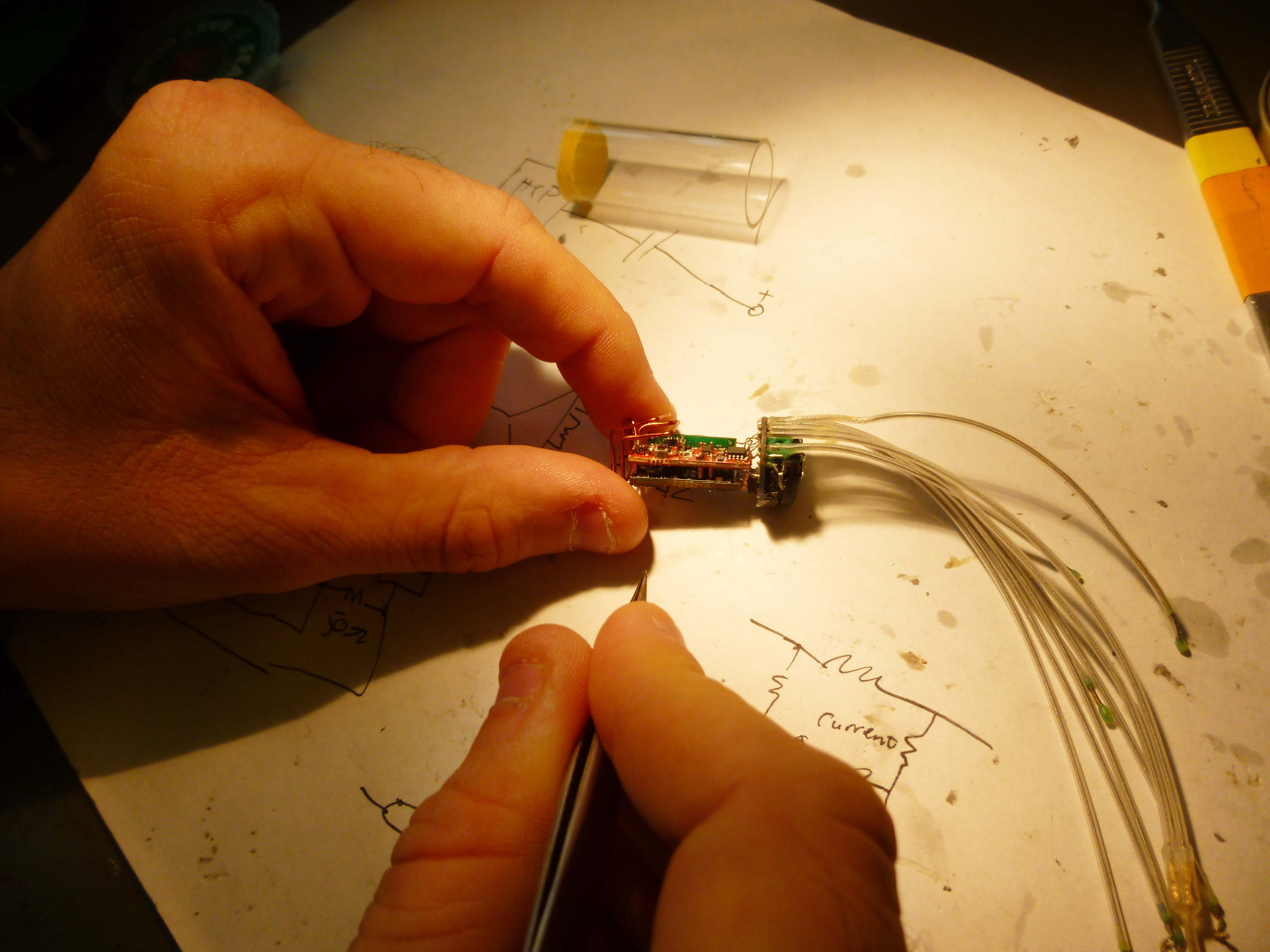 The Weldon School: Top choice for electroceutical studies - Biomedical ...