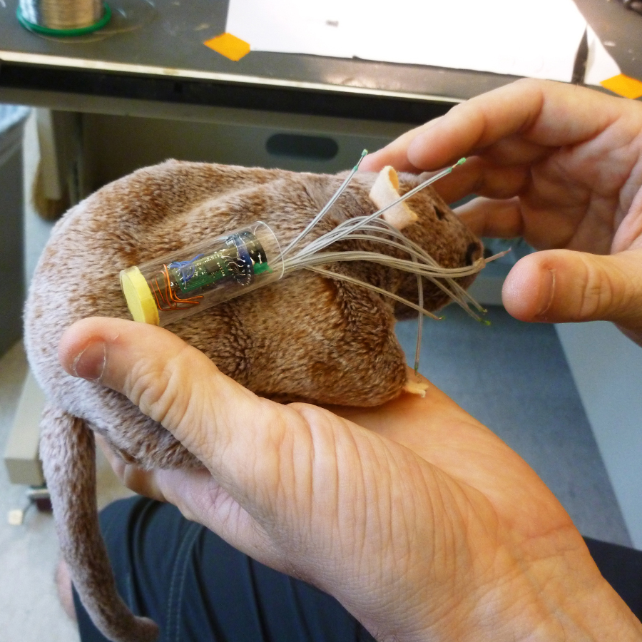 Neuroscience: Where engineering meets biology - Biomedical Engineering ...