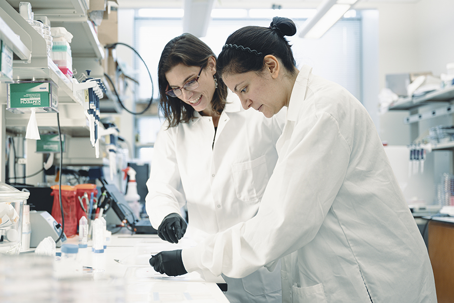 Biomedical Engineering - Purdue University