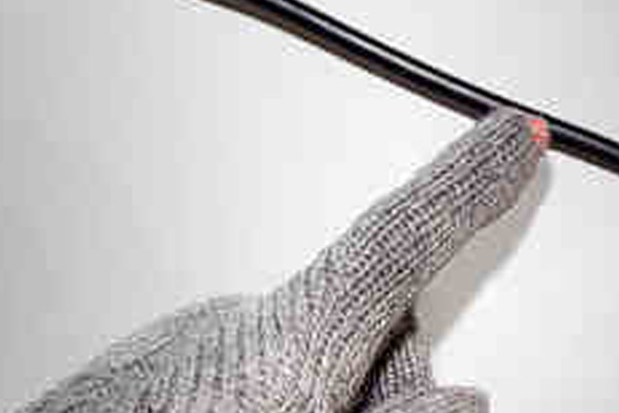 Biomedical Engineering - Purdue University