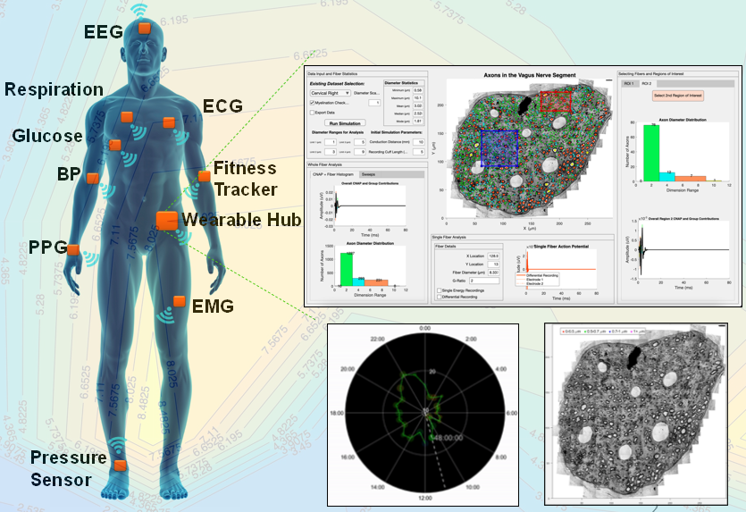 The BioCom Lab - Matthew Ward - Biomedical Engineering - Purdue University