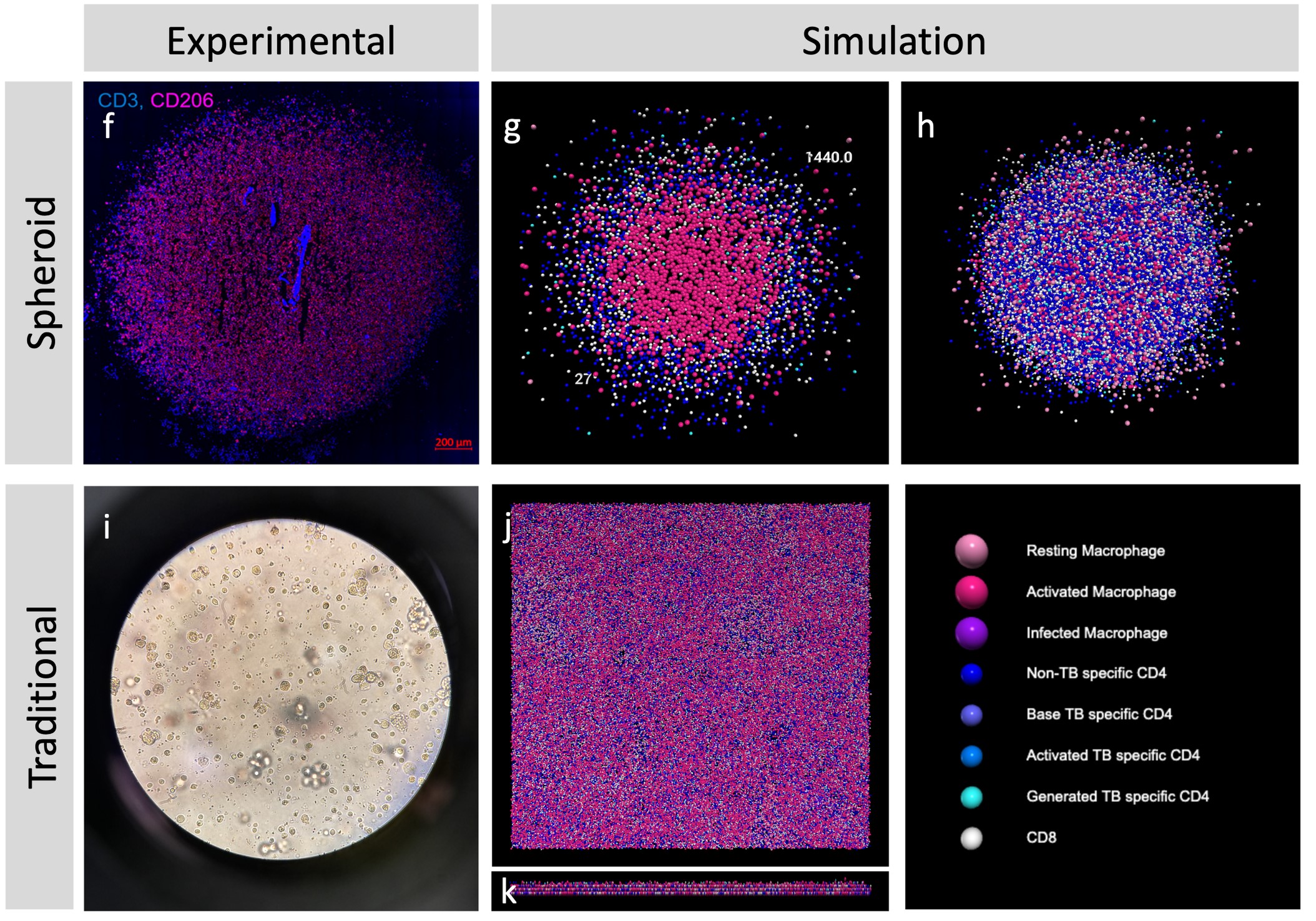 The Pienaar Lab – Elsje Pienaar - Biomedical Engineering - Purdue ...