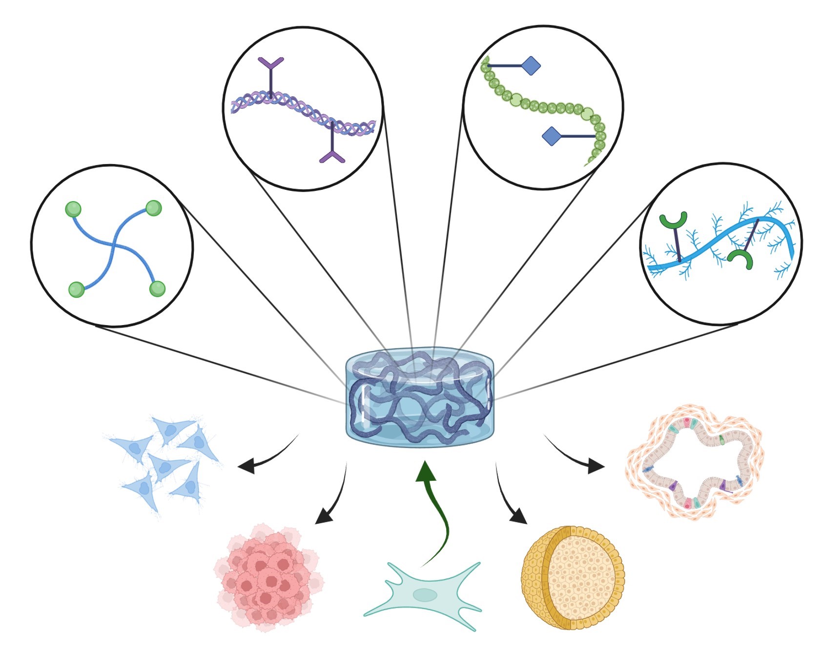 Polymeric Biomaterials for Tissue Regeneration - Chien-Chi Lin ...