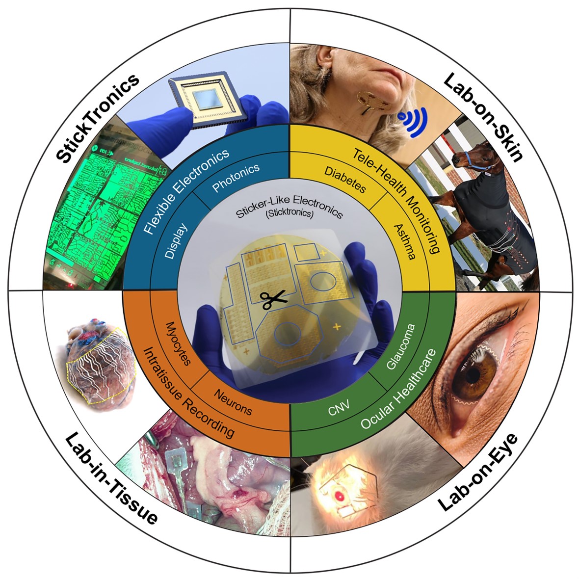 biomedical engineering labs purdue