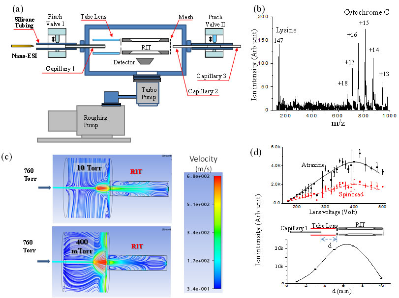 Welcome to the Ouyang's group!