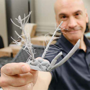 Bio-Inspired Design - Lyles School of Civil and Construction ...