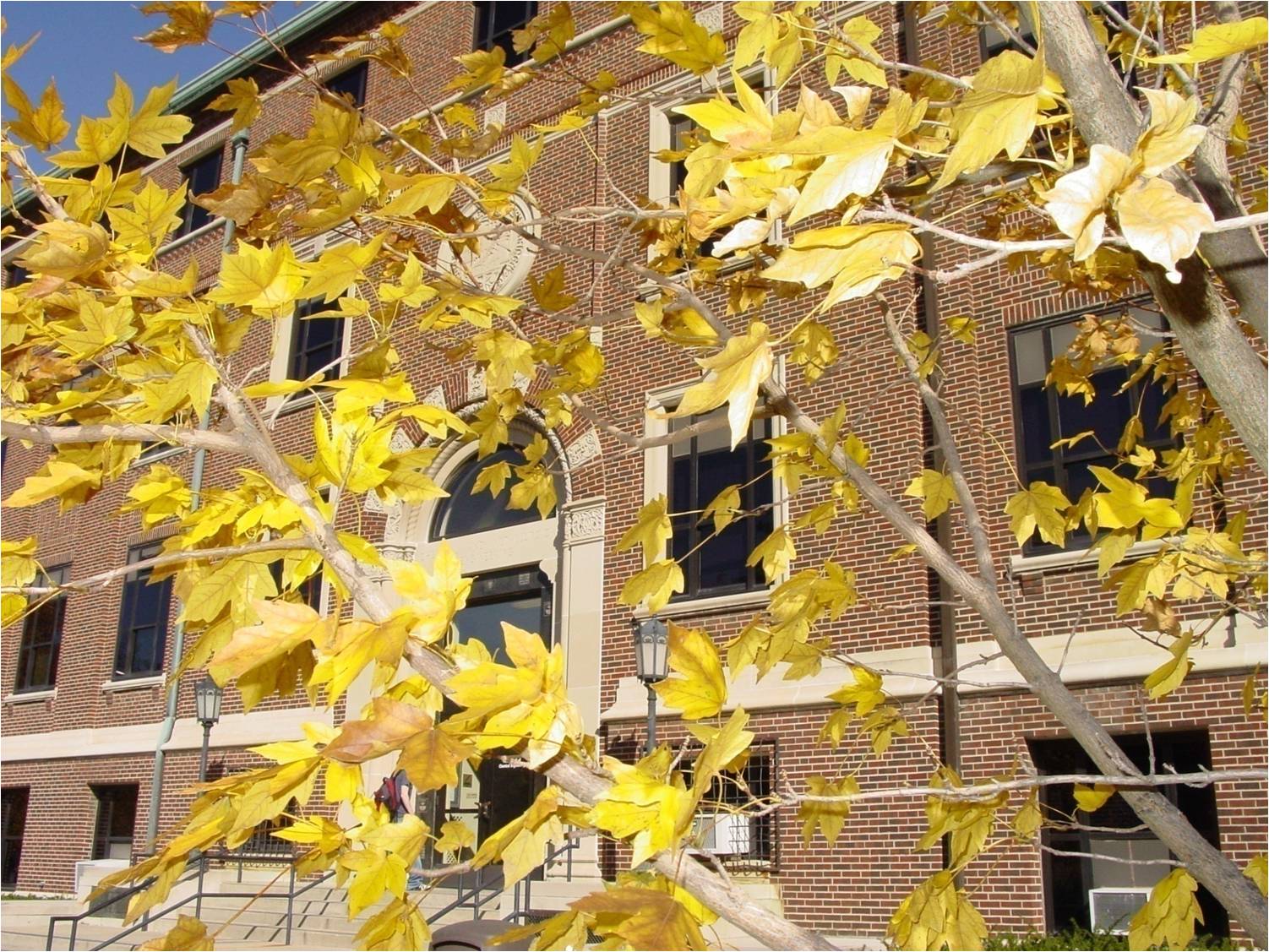 Chemical Engineering of the Future Symposium - Davidson School of ...