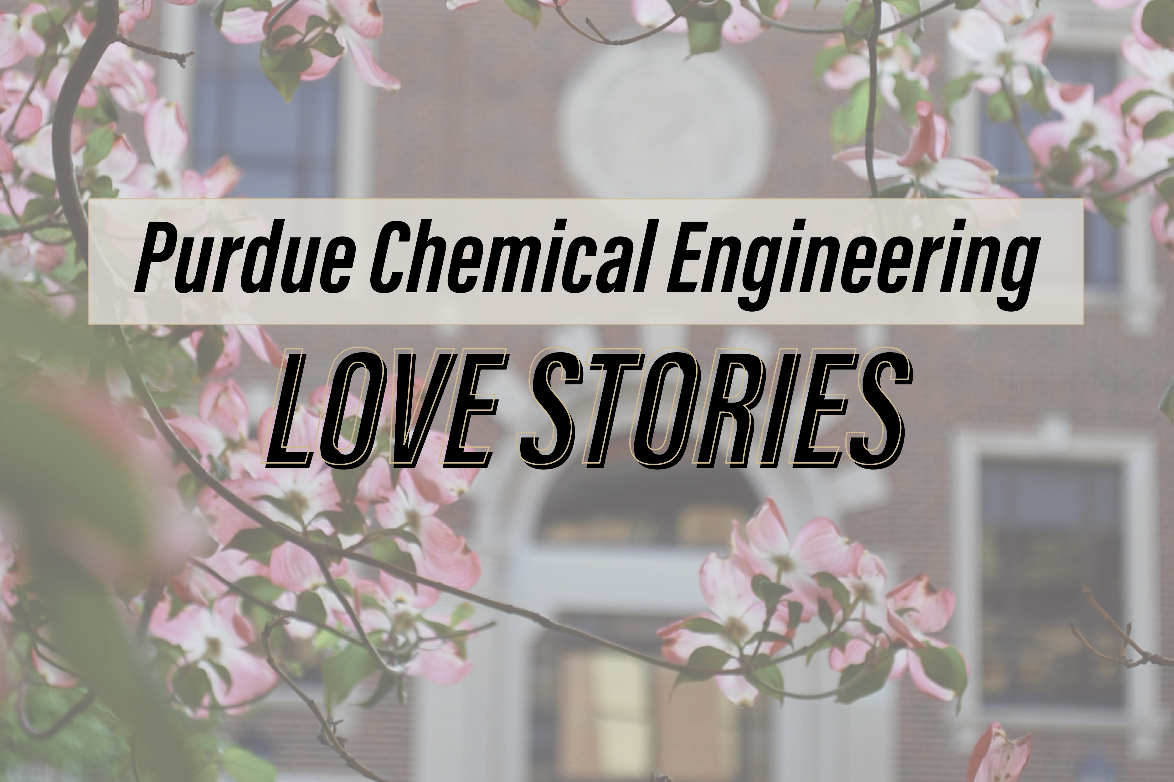 Claire Liu and Ramon Peña, Spice and Ken Krozel, and Joseph and Marti ...