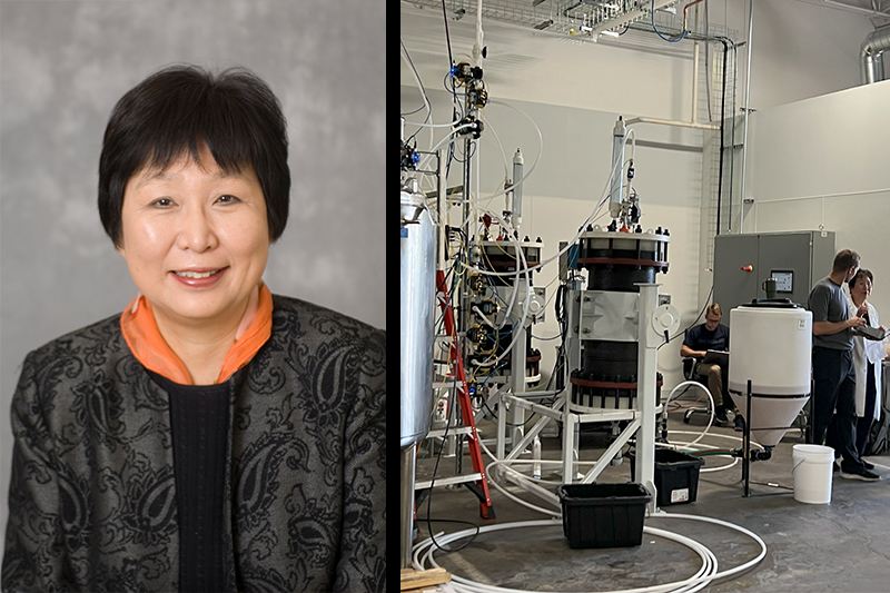 Davidson School of Chemical Engineering - Purdue University