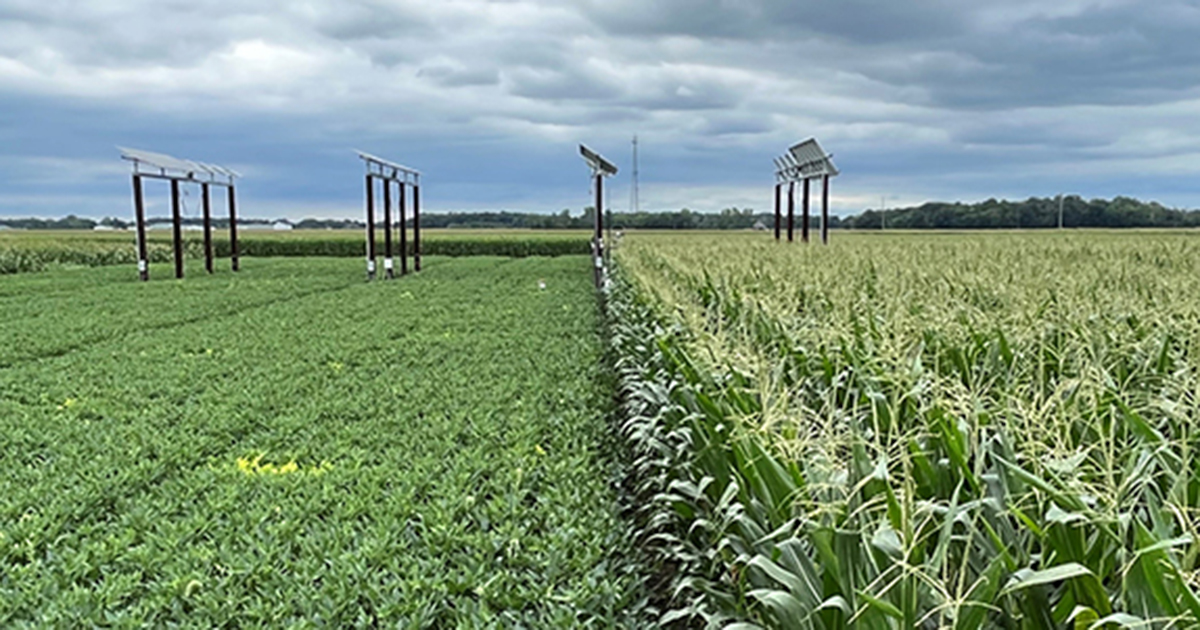 Purdue agrivoltaic farming structures and software harvest solar power ...