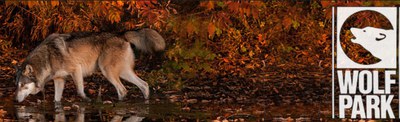 Wolf Park (WOLF) - EPICS - Purdue University
