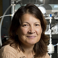 Tami C. Bond — Panel - Purdue Engineering Distinguished Lecture Series ...