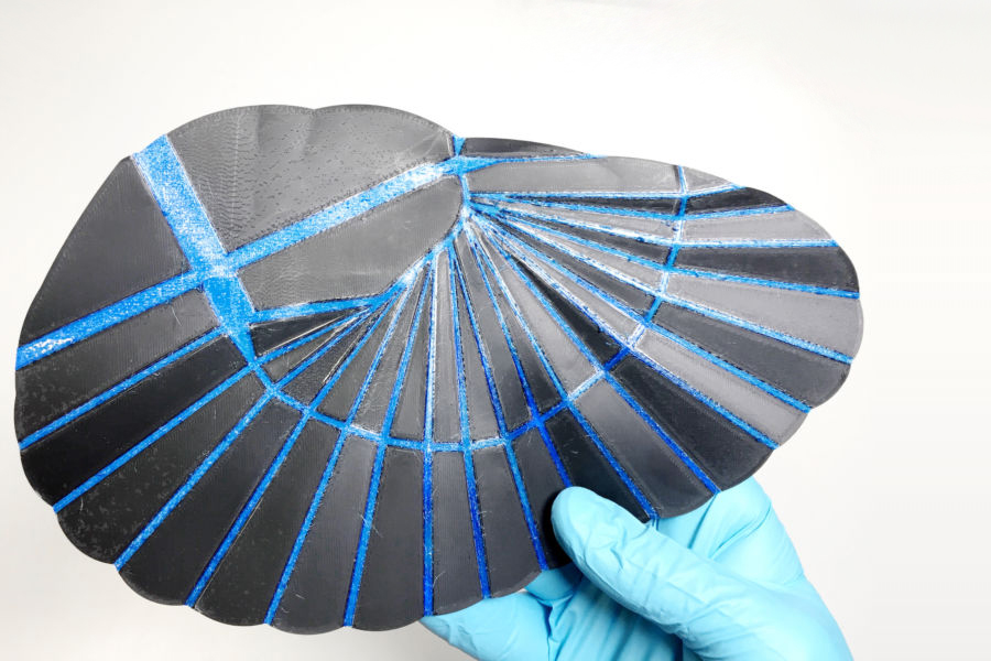 Origami folds of insect wing can help improve machine functions - News ...