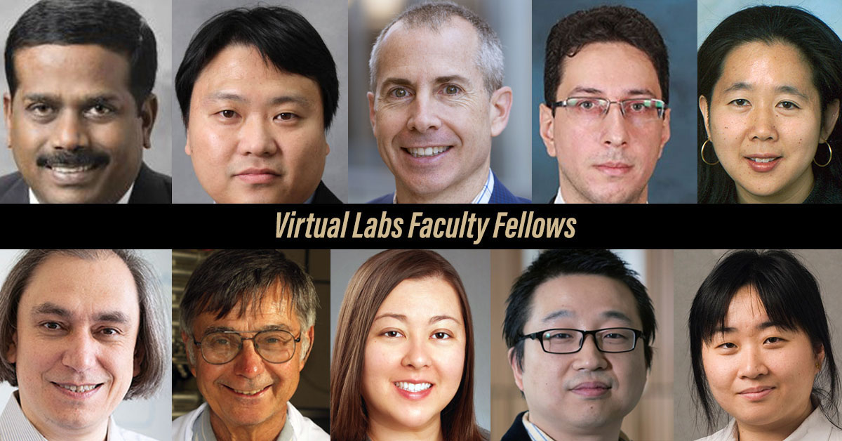 10 Virtual Labs Faculty Fellows selected to develop new interactive ...
