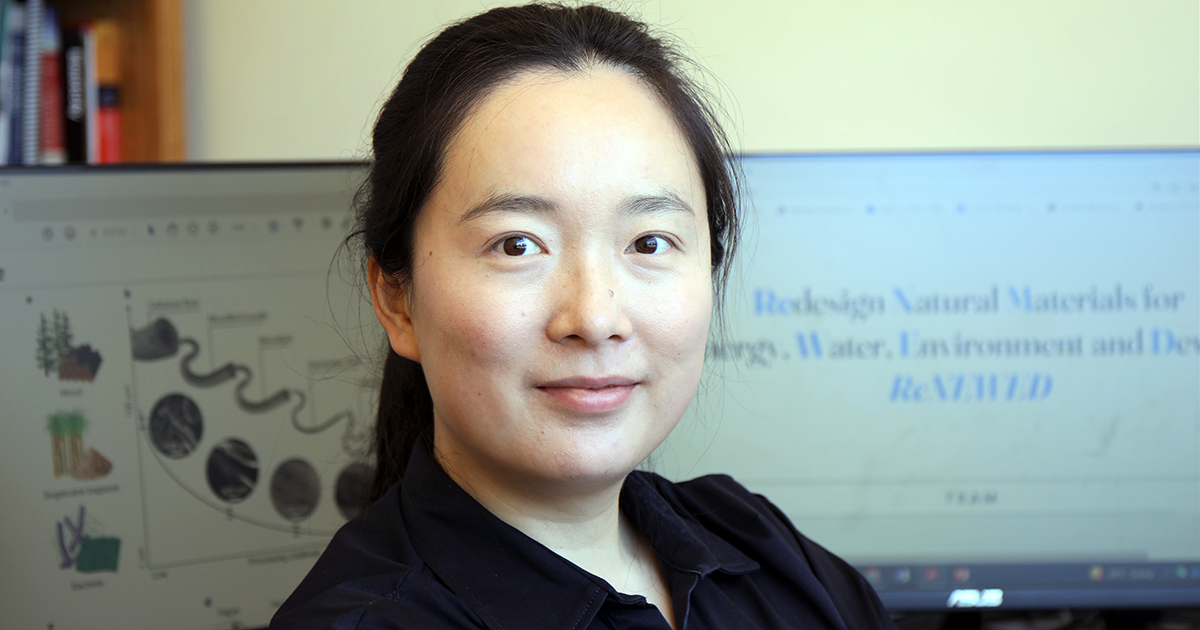 ME's Li to develop 'living' wood through natural strengthening - News ...