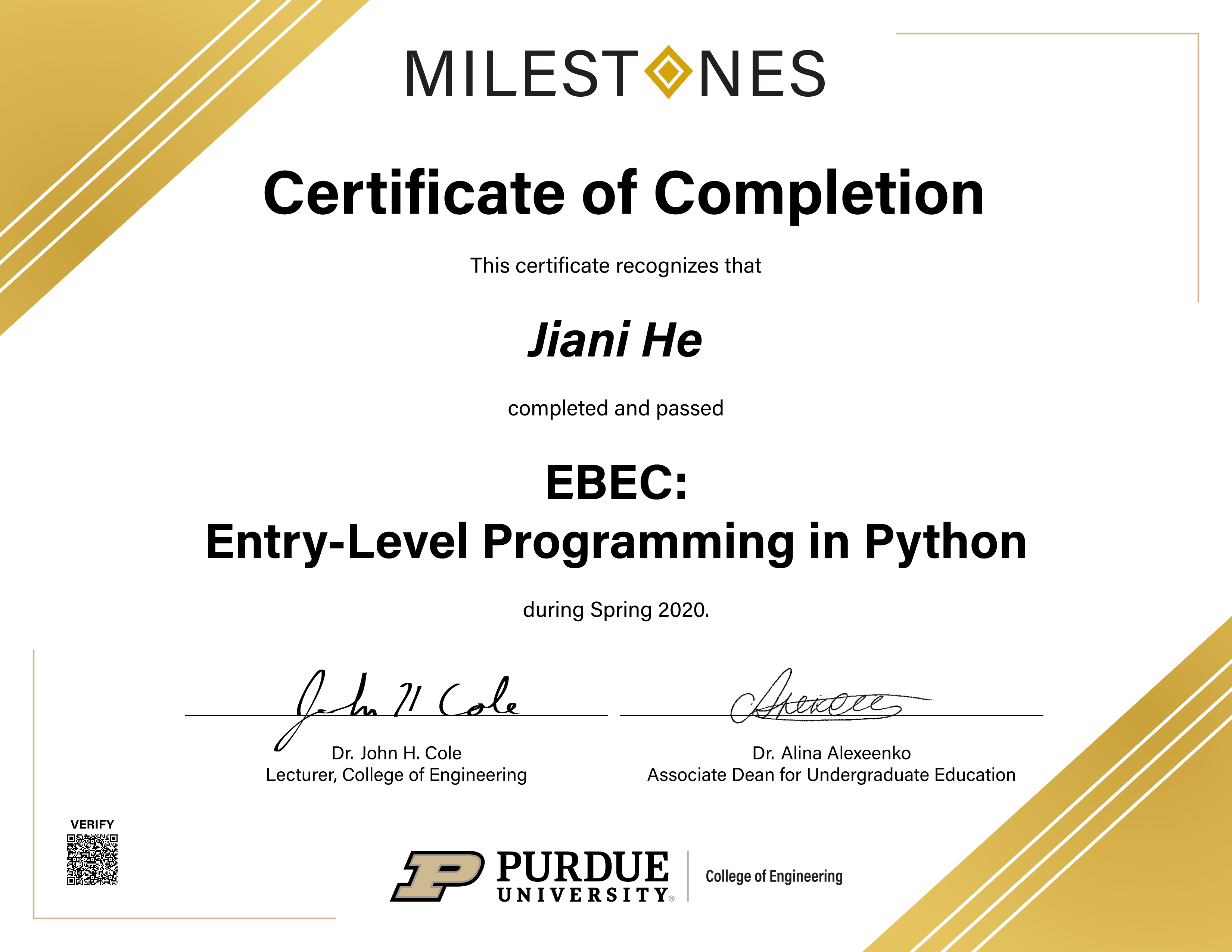 Elva(Jiani) He - Accenture | LinkedIn