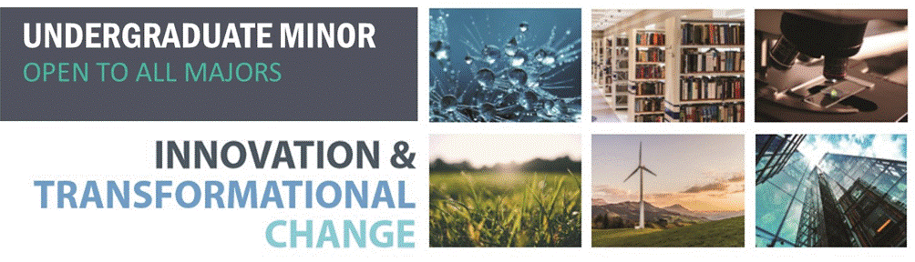 Minor : Programs & Experiences : Innovation and Leadership Studies ...