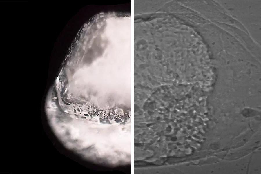 Seeing Inside Explosions With High Speed X-Rays - Mechanical ...