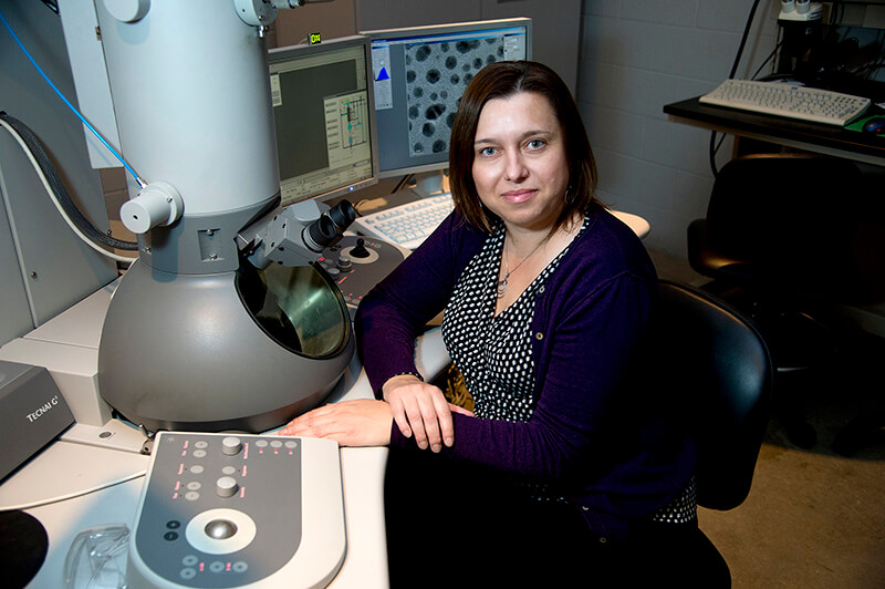 Purdue researchers developing device that detects mosquito-borne ...