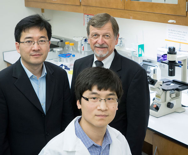 Label-free spectroscopic imaging as diagnostic tool - Fall 2016 ...
