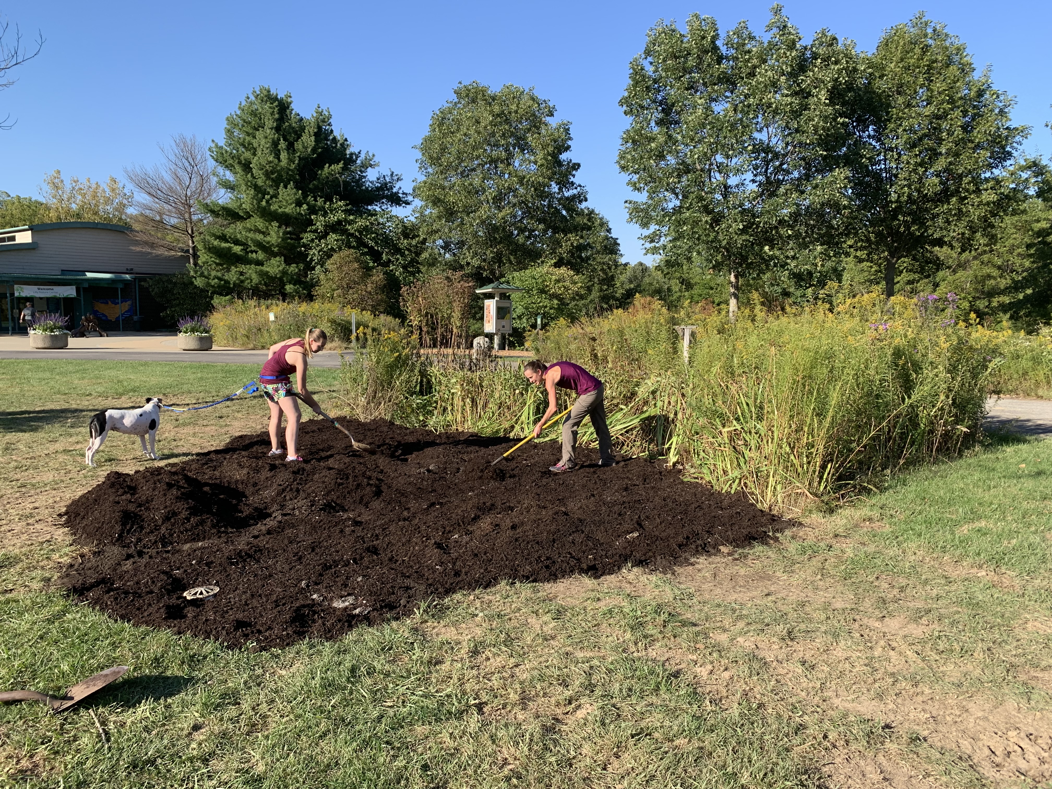 EEE engagement project expands West Lafayette Celery Bog Nature Area ...