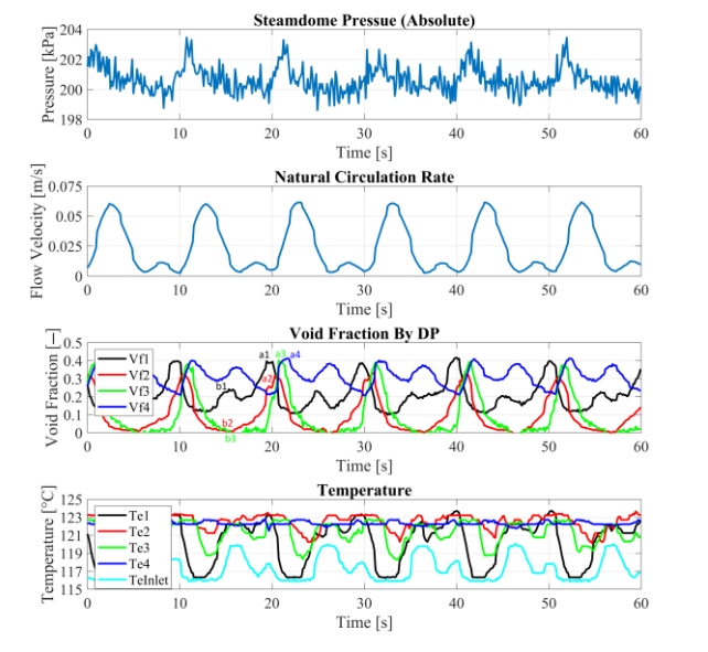 Investigation of flow instabilities in Natural Circulation NuScale type ...