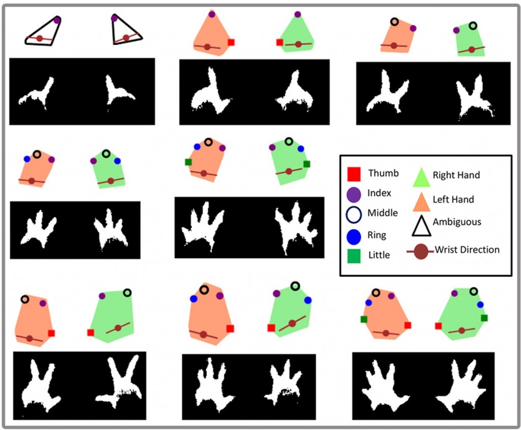 Extended Multitouch: Recovering Touch Posture & Identity Using Depth ...