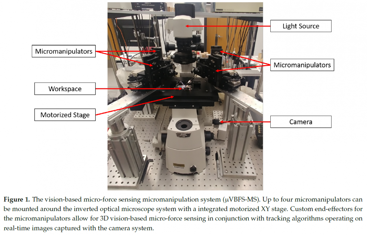 Towards a Comprehensive and Robust Micromanipulation System with Force ...