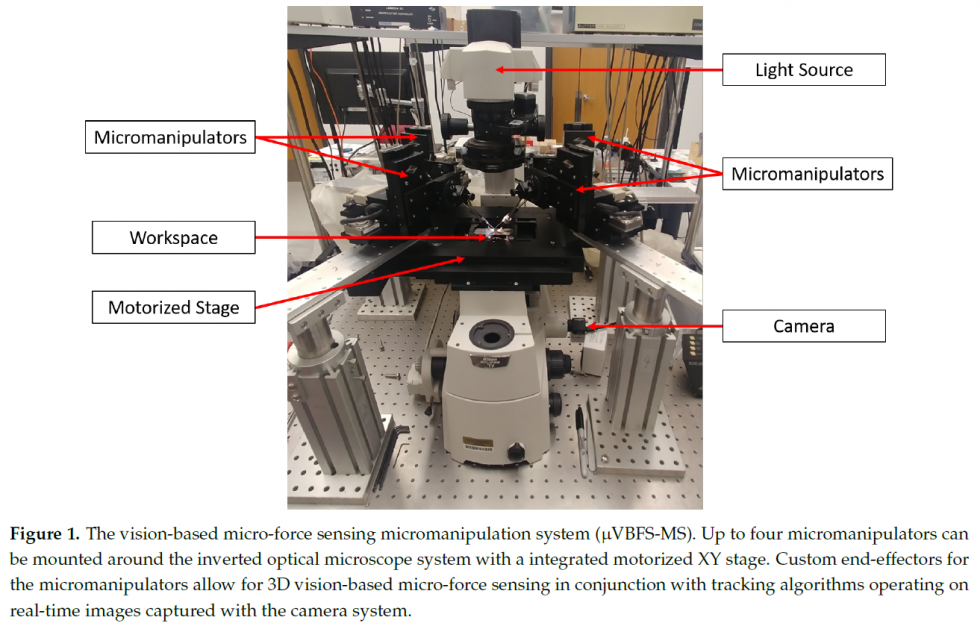 Towards a Comprehensive and Robust Micromanipulation System with Force ...
