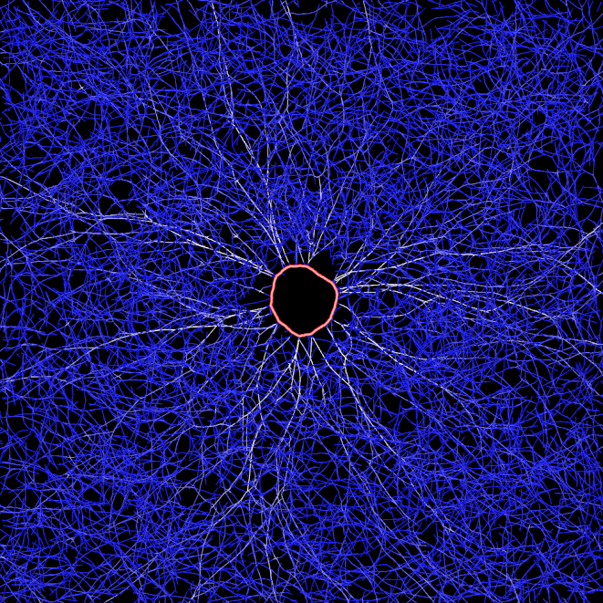 Cell-matrix interactions - MCT Biomechanics Laboratory - Purdue University