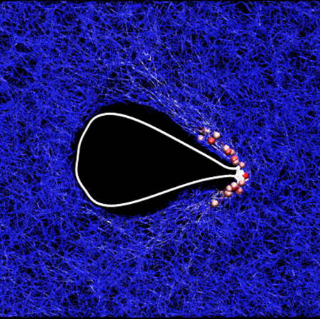 Cell-matrix interactions - MCT Biomechanics Laboratory - Purdue University