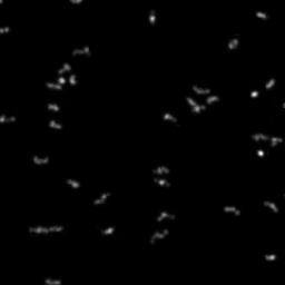 Deep Particle Diffusometry