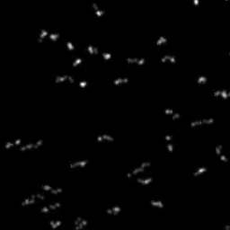 Deep Particle Diffusometry