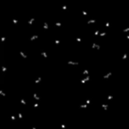 Deep Particle Diffusometry