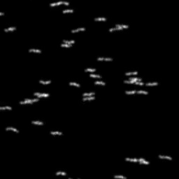 Deep Particle Diffusometry